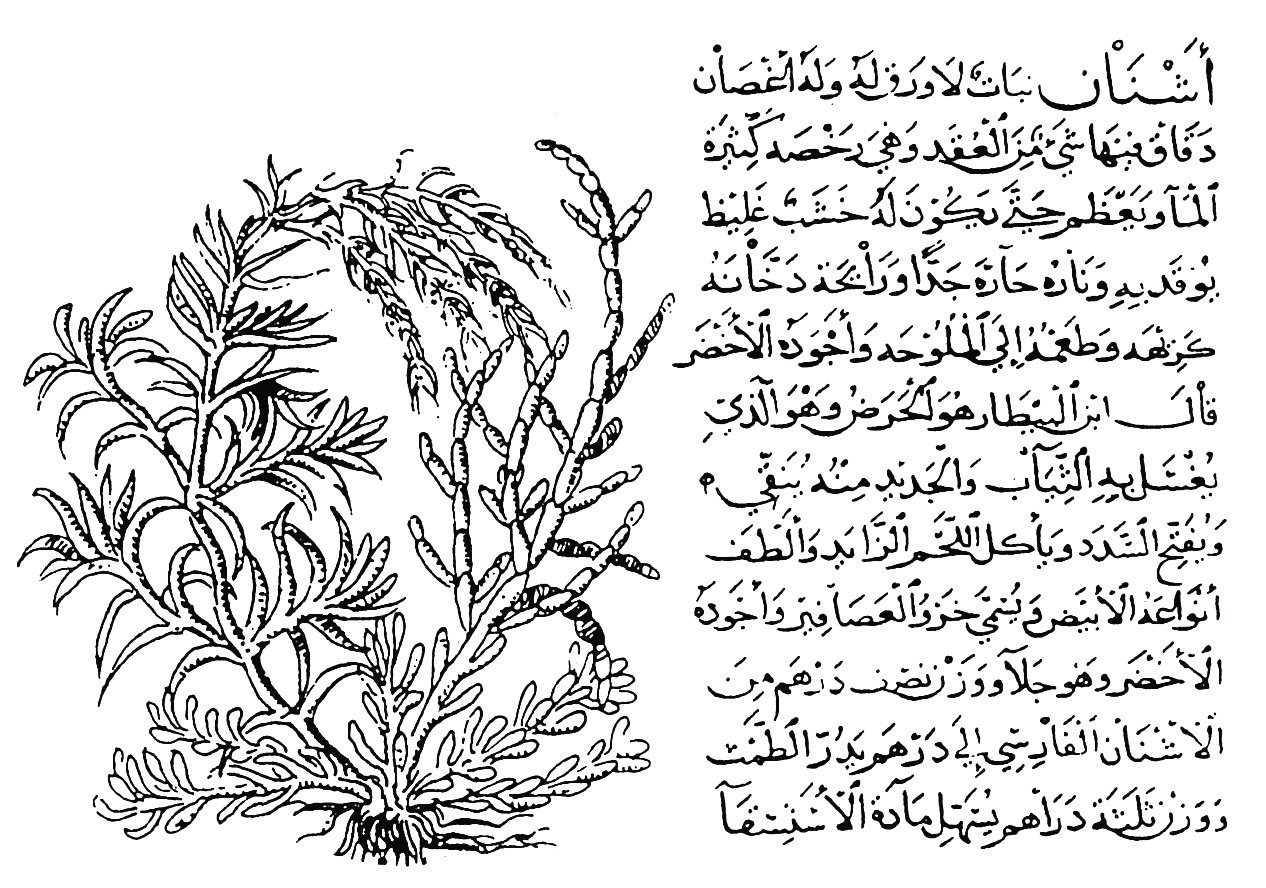 Ancient agriculture and the ancient natural landscape – The antiquity ...